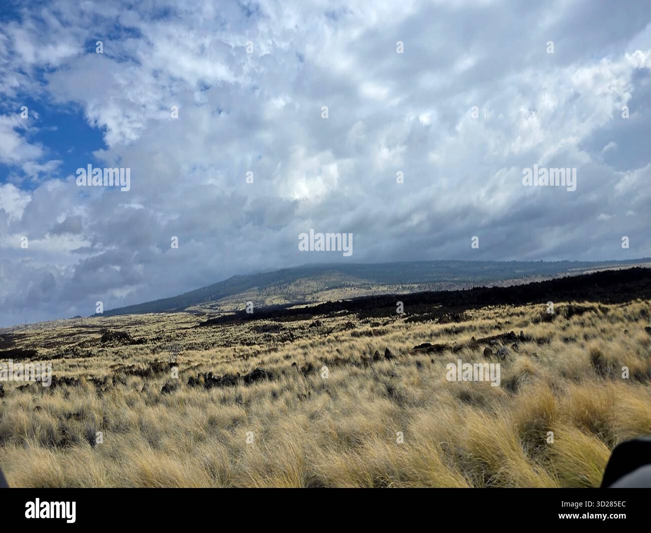 Vast volcanic landscape of Hawaii Volcanoes National Park on the Big ...