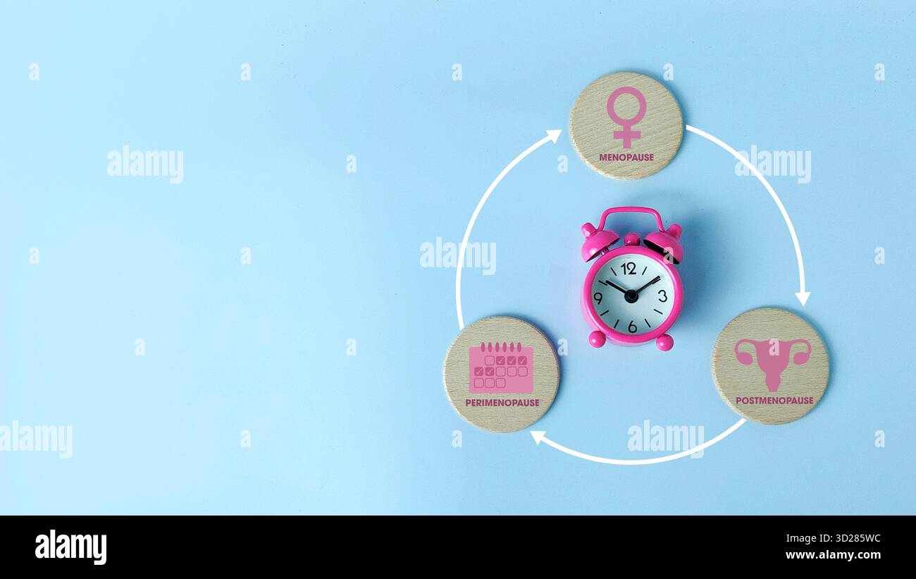 Women's Hormonal Health Cycle: Perimenopause to Postmenopause Stages ...