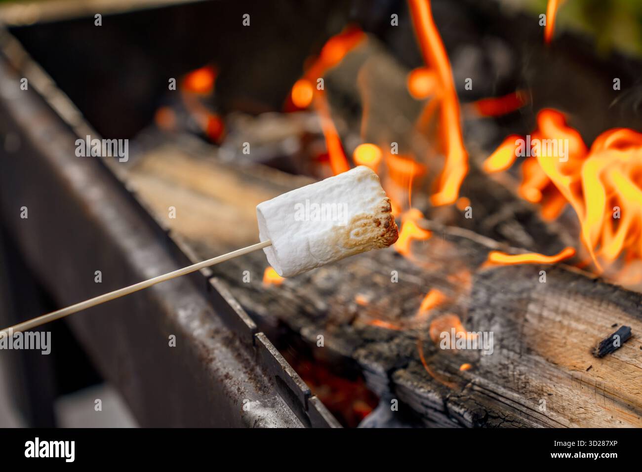 Roasting marshmallow over burning hi-res stock photography and images ...
