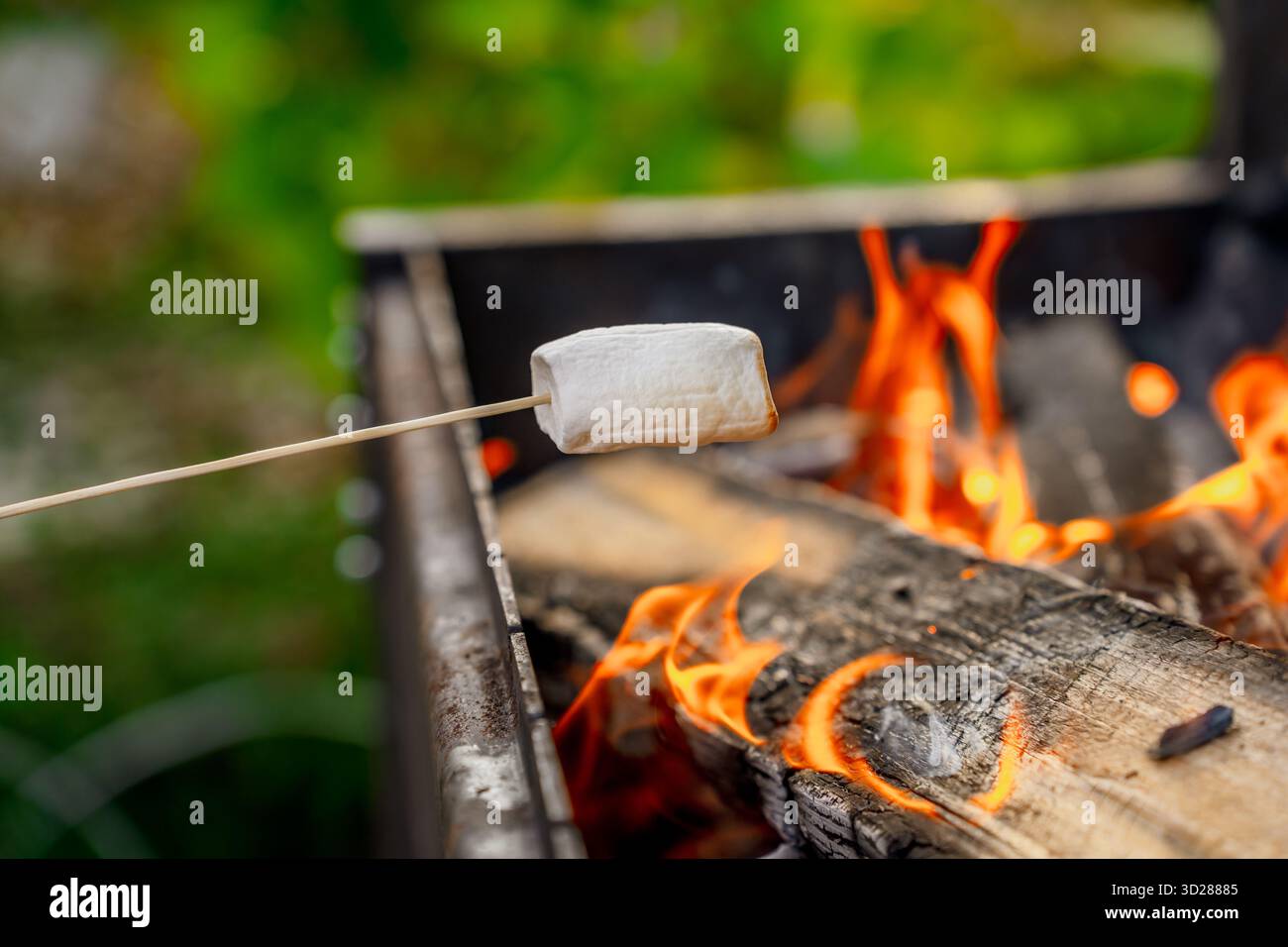Toasting marshmallows fire hi-res stock photography and images - Alamy