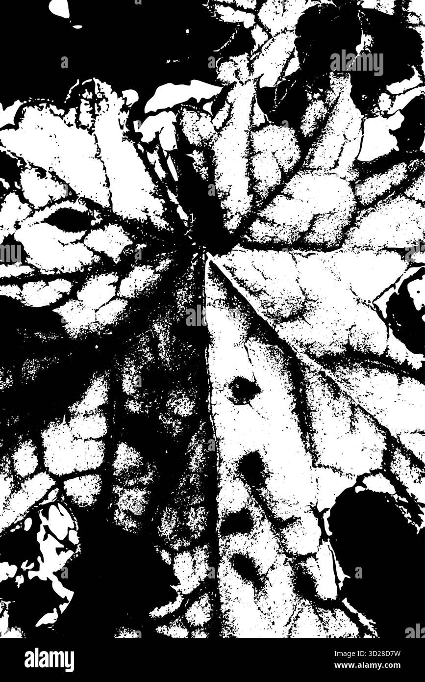 Natural texture highlighting Stock Vector Images - Alamy