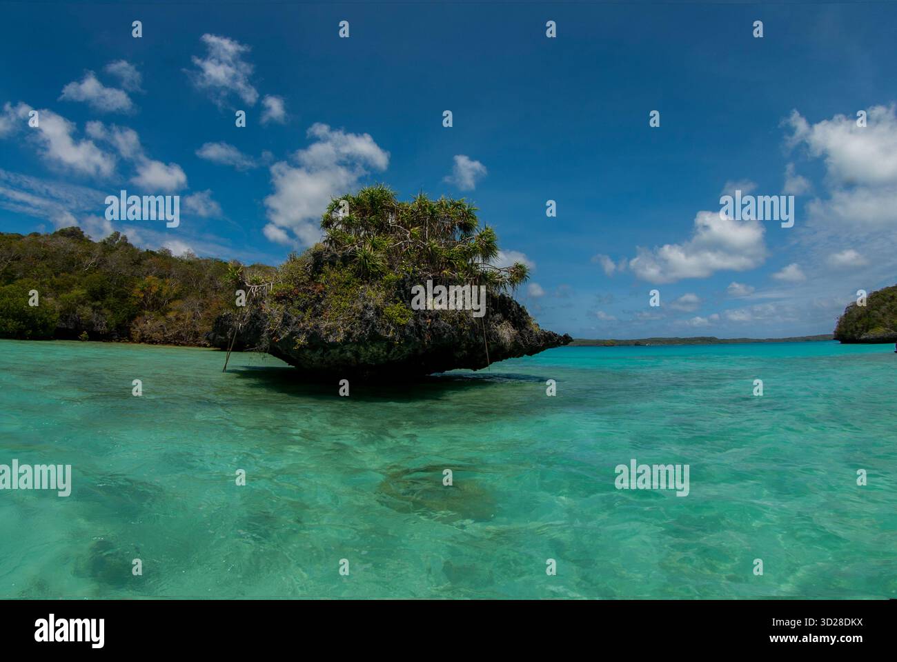 Within the lagoon of the raised coral atoll of Fulaga, Fiji, eroded ...