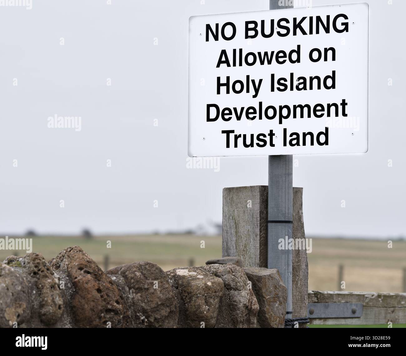 No busking notice on Holy Island (Lindisfarne), England Stock Photo - Alamy