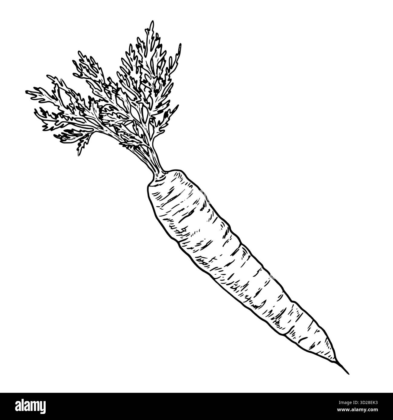 Nutrient harvest Black and White Stock Photos & Images - Alamy