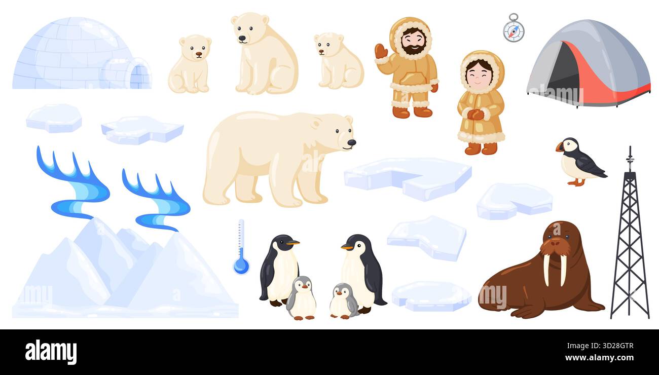 Fun cartoon vector set with arctic and antarctic animals and items like ...