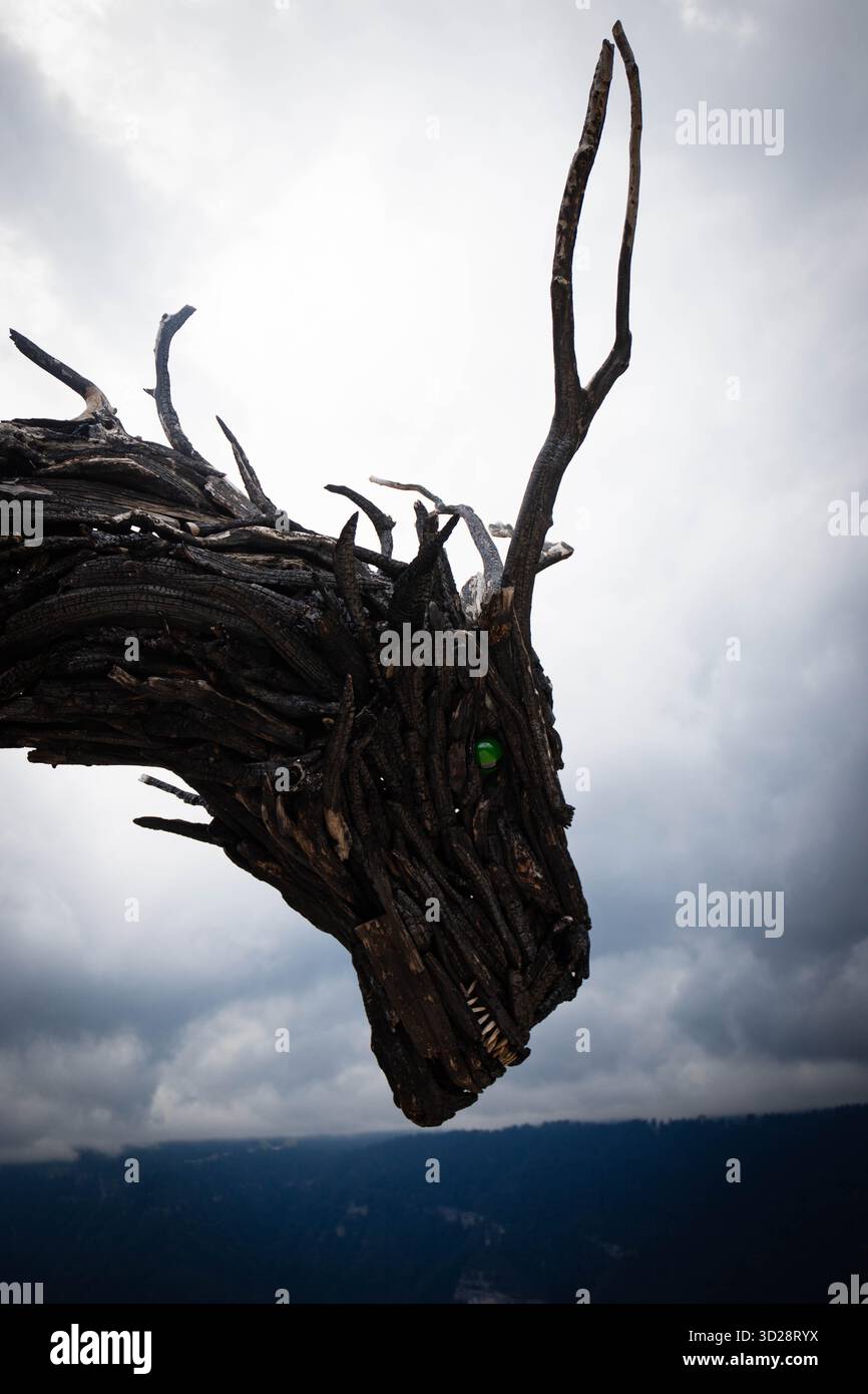 The terrific face of Drago Vaia, the largest wooden dragon sculpture in ...