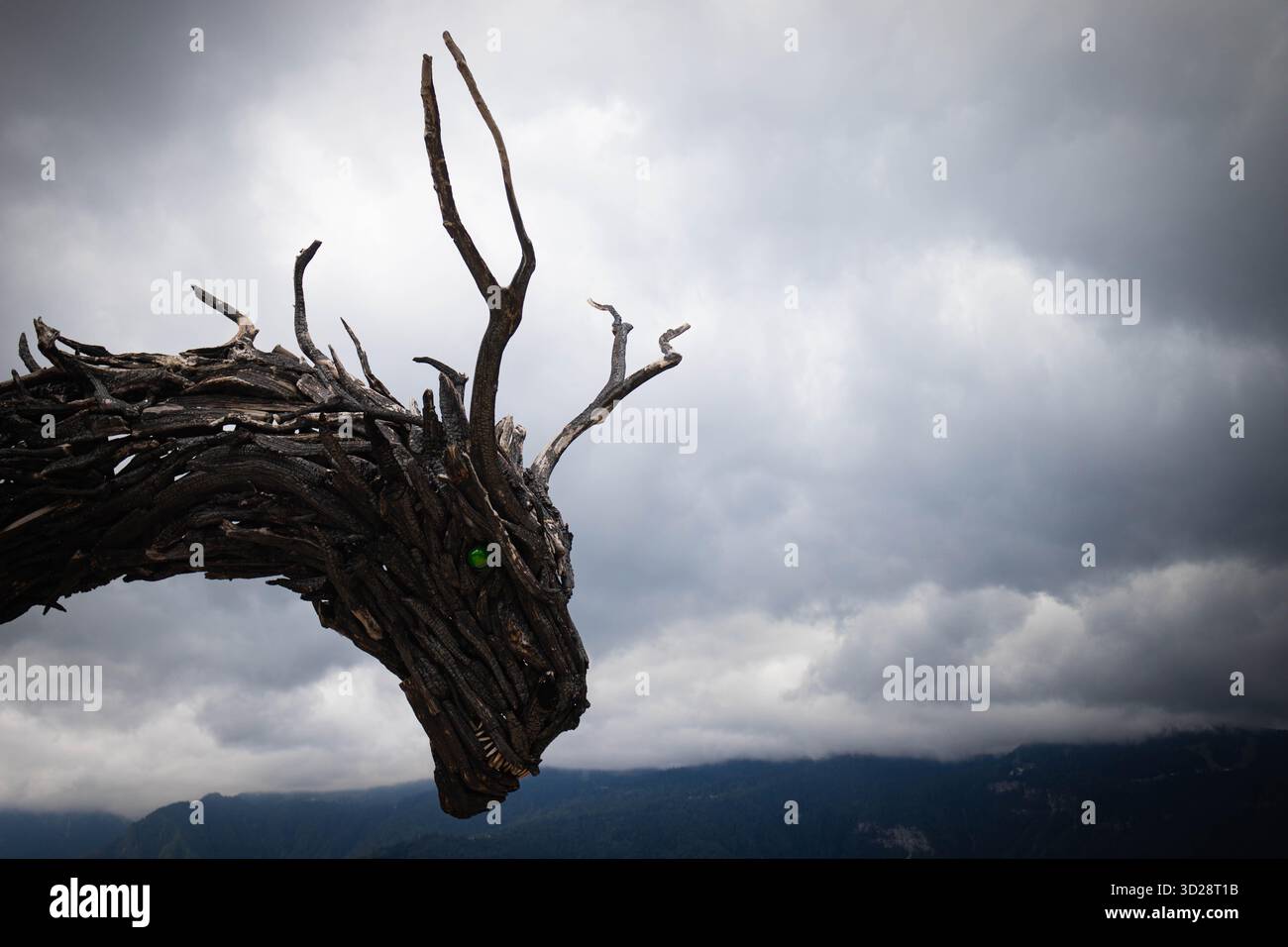 The terrific face of Drago Vaia, the largest wooden dragon sculpture in ...