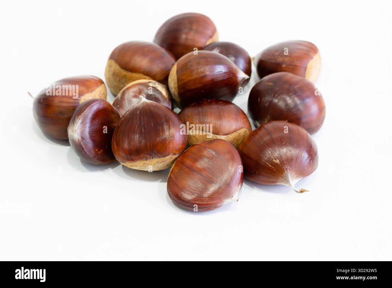 Edible sweet chestnuts with roasted chestnuts isolated on white ...