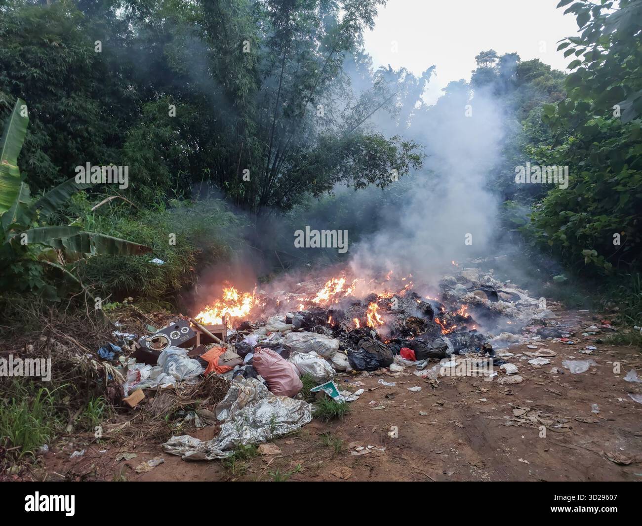 Huge piles of garbage are being burned in the forest. where there are ...