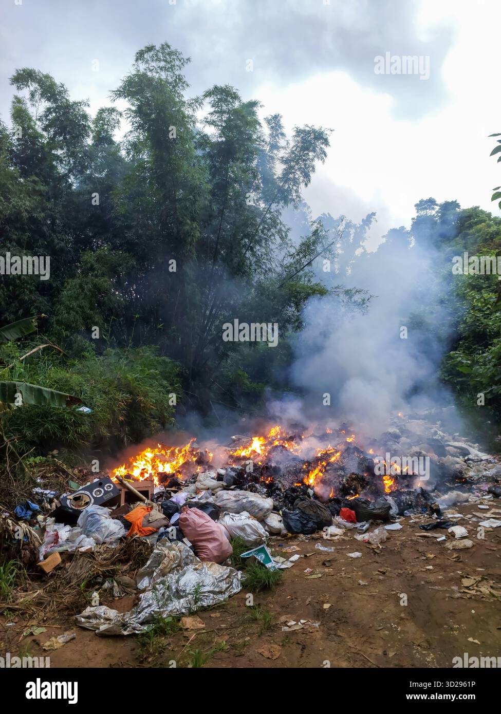 Huge piles of garbage are being burned in the forest. where there are ...