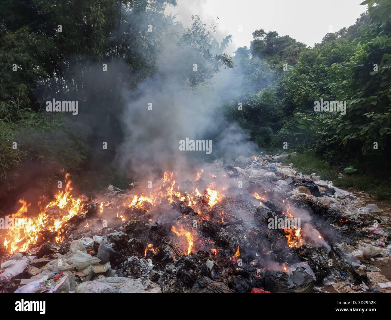 Huge piles of garbage are being burned in the forest. where there are ...