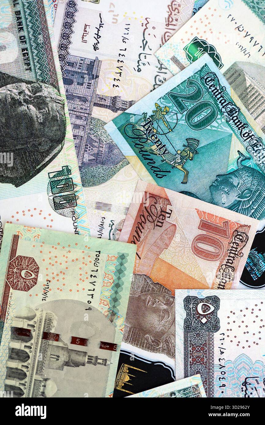 Egyptian pound currency money bills. The current banknotes lies on ...