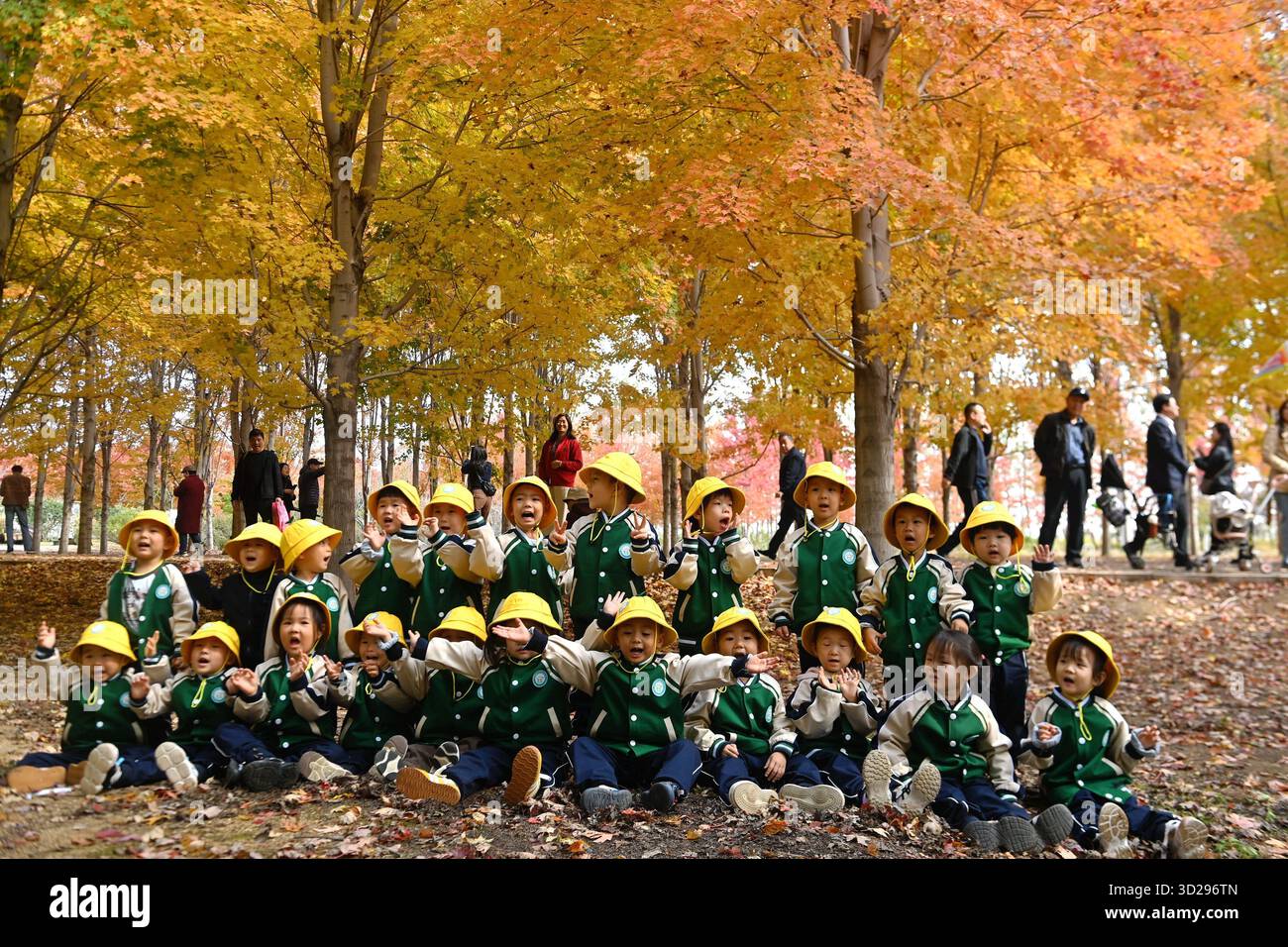 Red maple trees attract tourists in Qingdao City, east China's Shandong ...