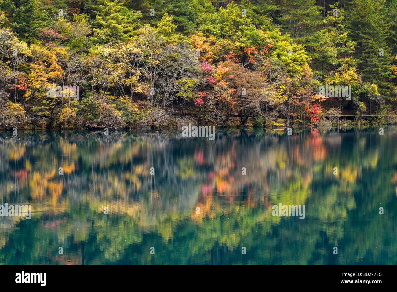 Autumn scenery of Jiuzhaigou Valley, Ngawa Tibetan and Qiang Autonomous ...