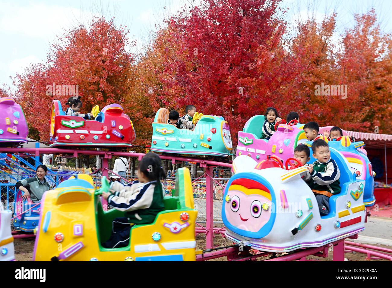 Red maple trees attract tourists in Qingdao City, east China's Shandong ...