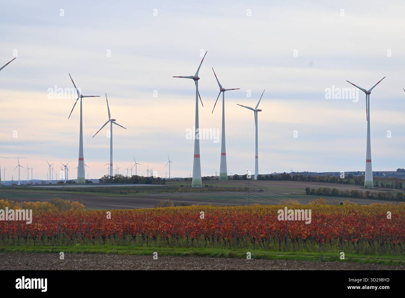 Wind turbines in Rhineland-Palatinate: Wind farm, wind turbine, wind ...
