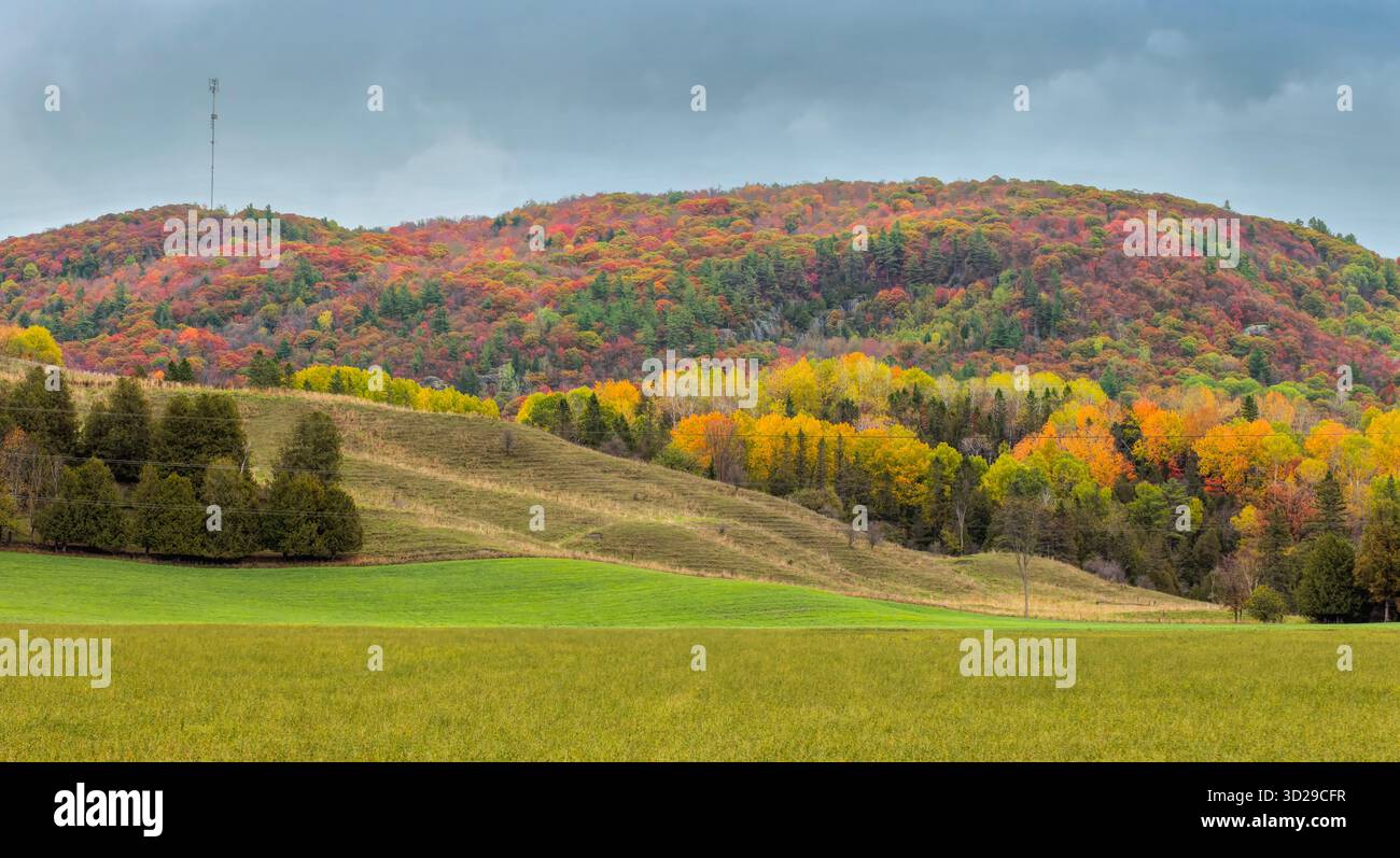 Fall colours on the rolling hills along the Gatineau river in Quebec ...