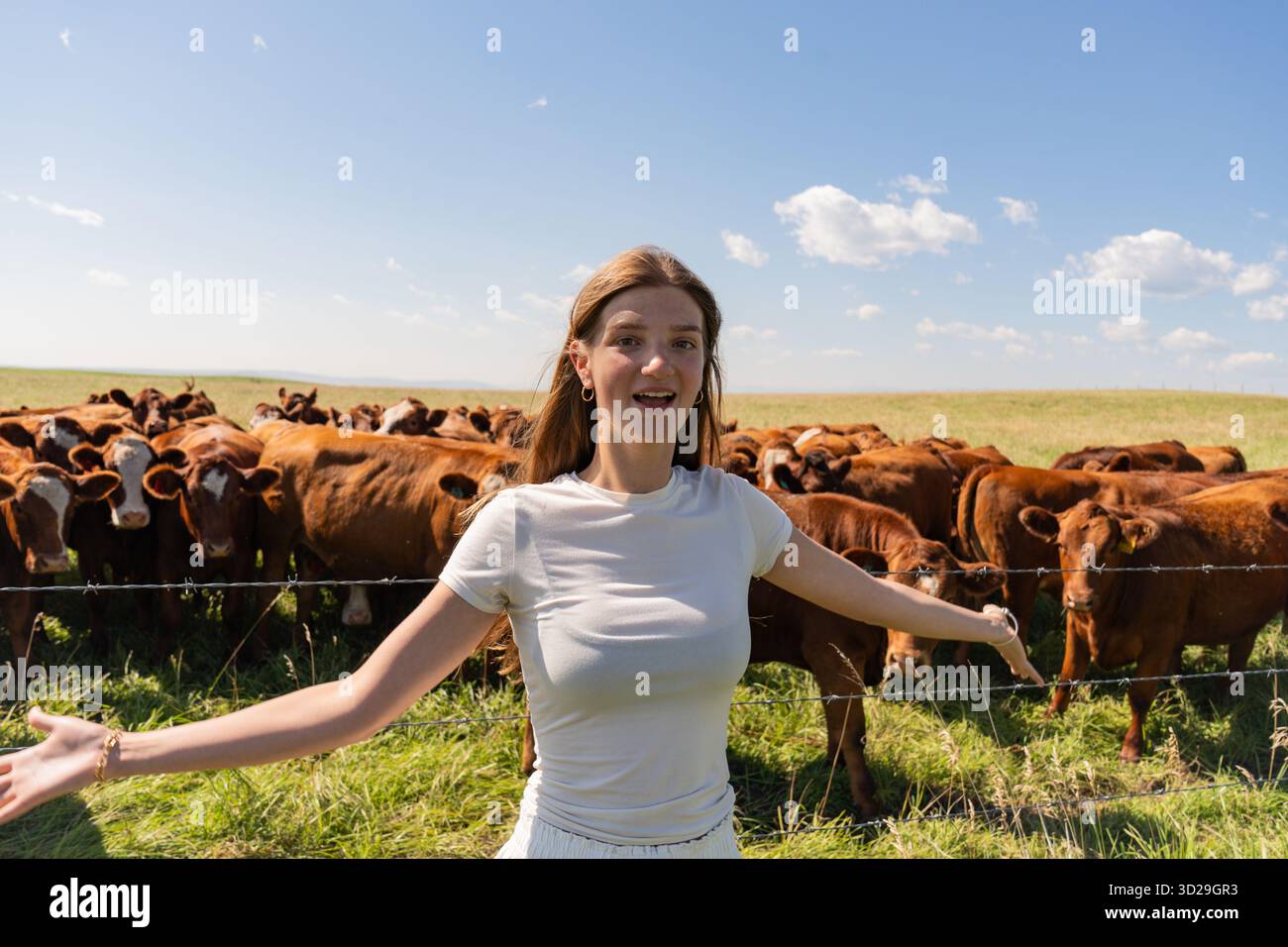 Woman embraces cattle in a field, under blue skies, connecting with ...