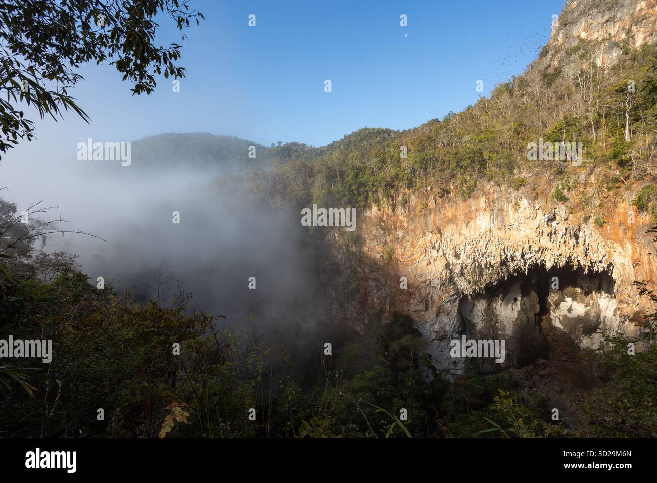 Landscape in front of the cave There is fog flowing through the forest ...