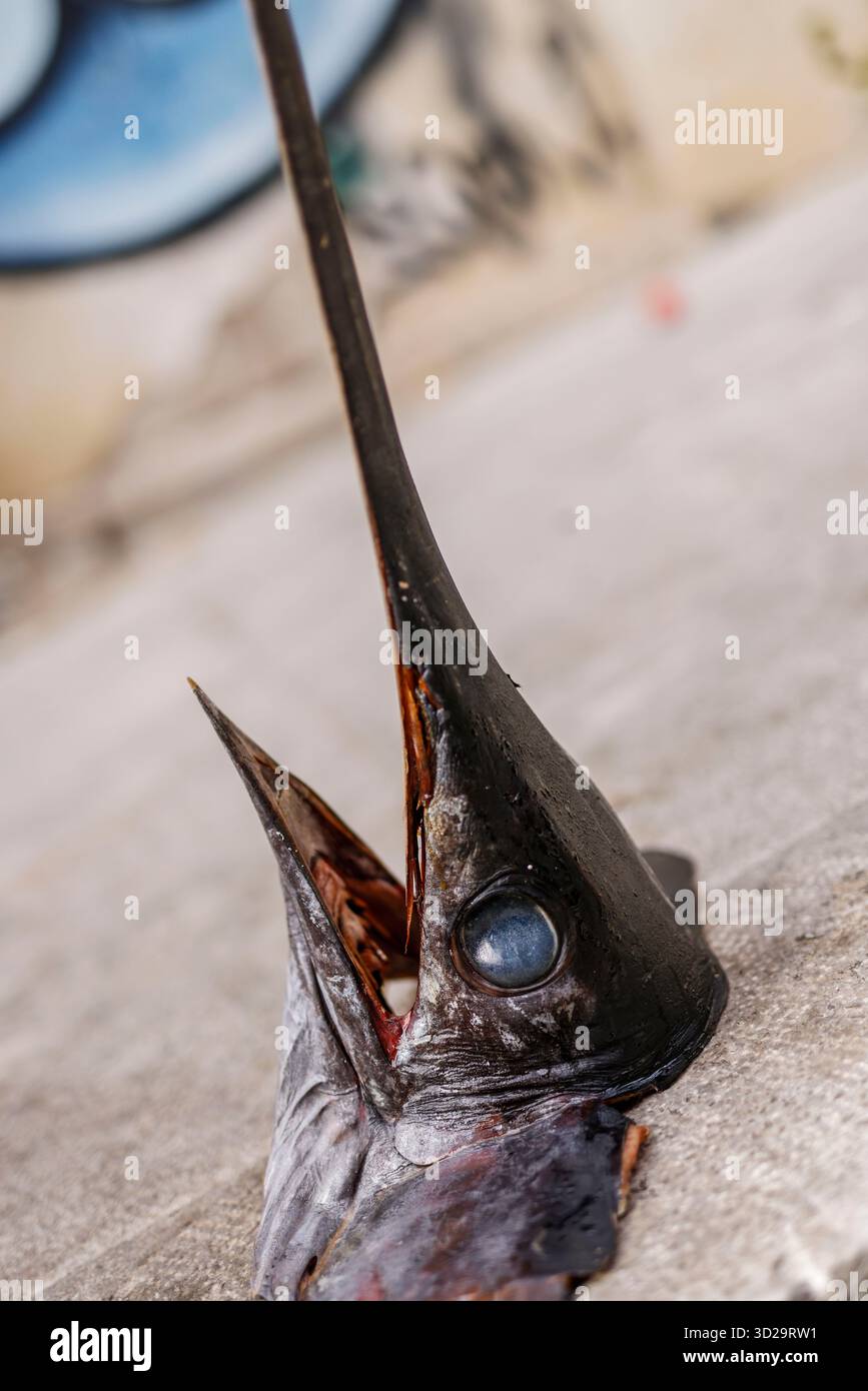 Sicily 2025, market, fishmonger, fish, dealer, head of swordfish ...