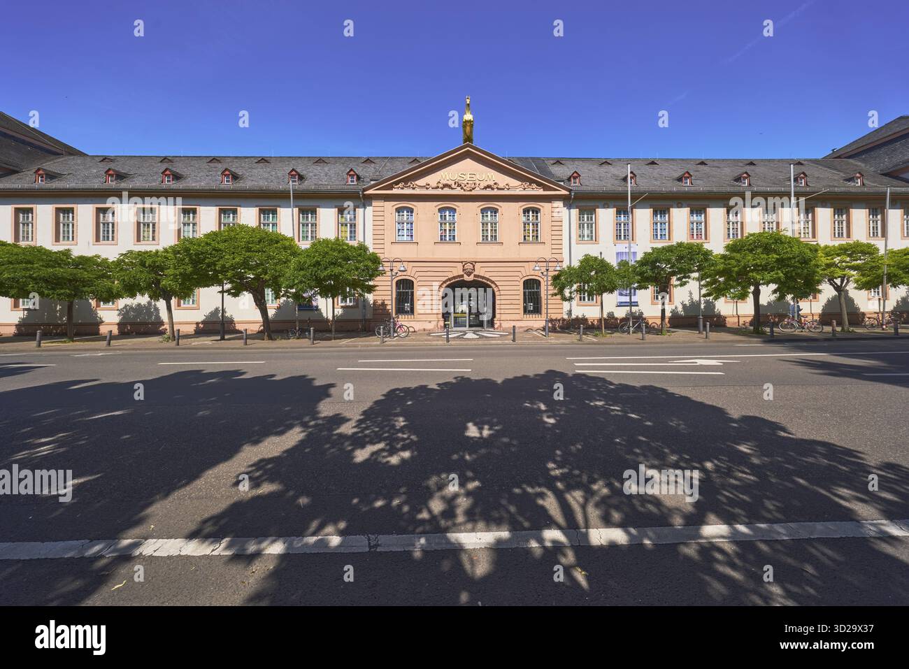 Mainz State Museum, Museum of Cultural History, Art Museum, Golden Ross ...