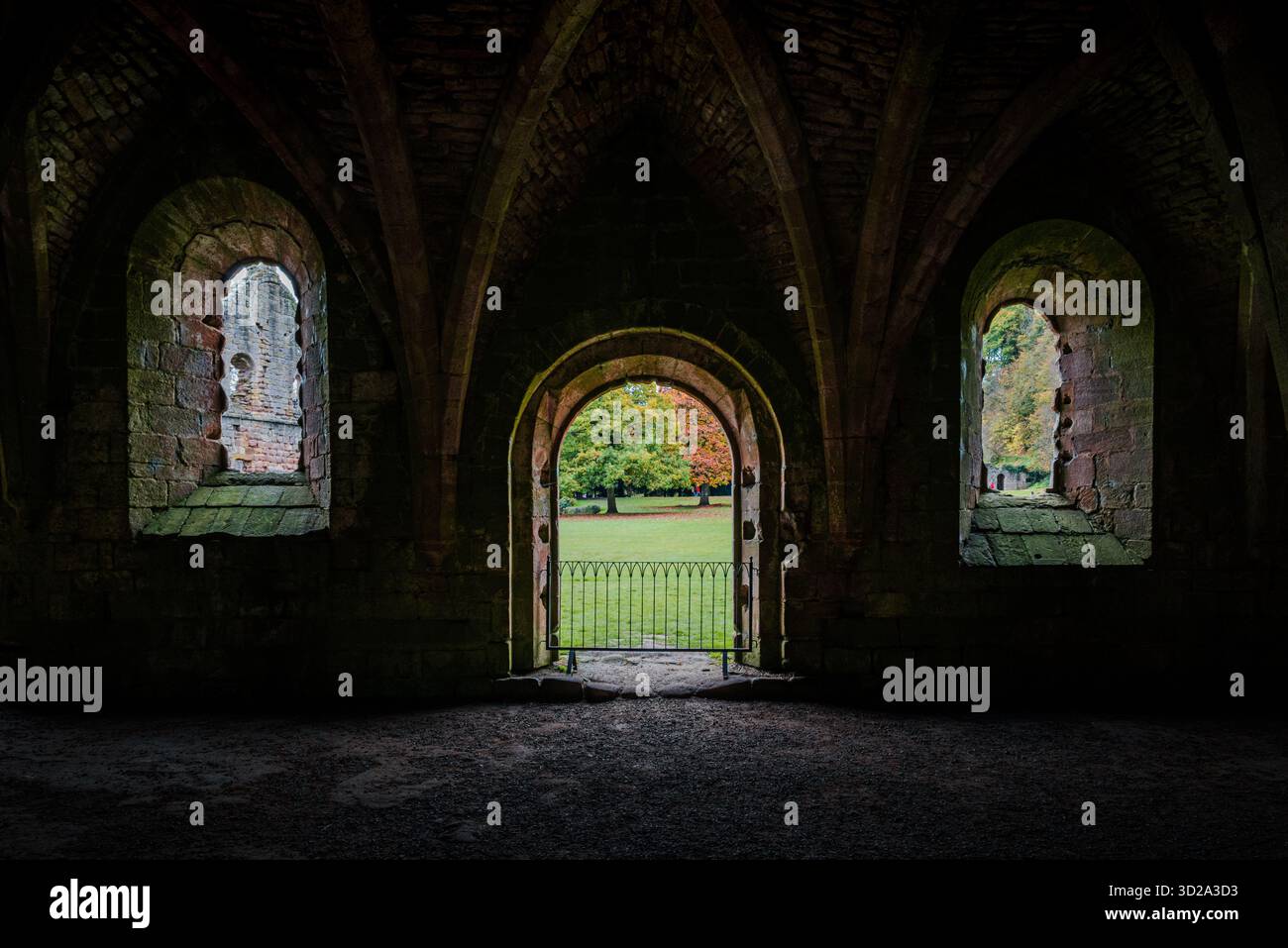 Cellarium view hi-res stock photography and images - Alamy