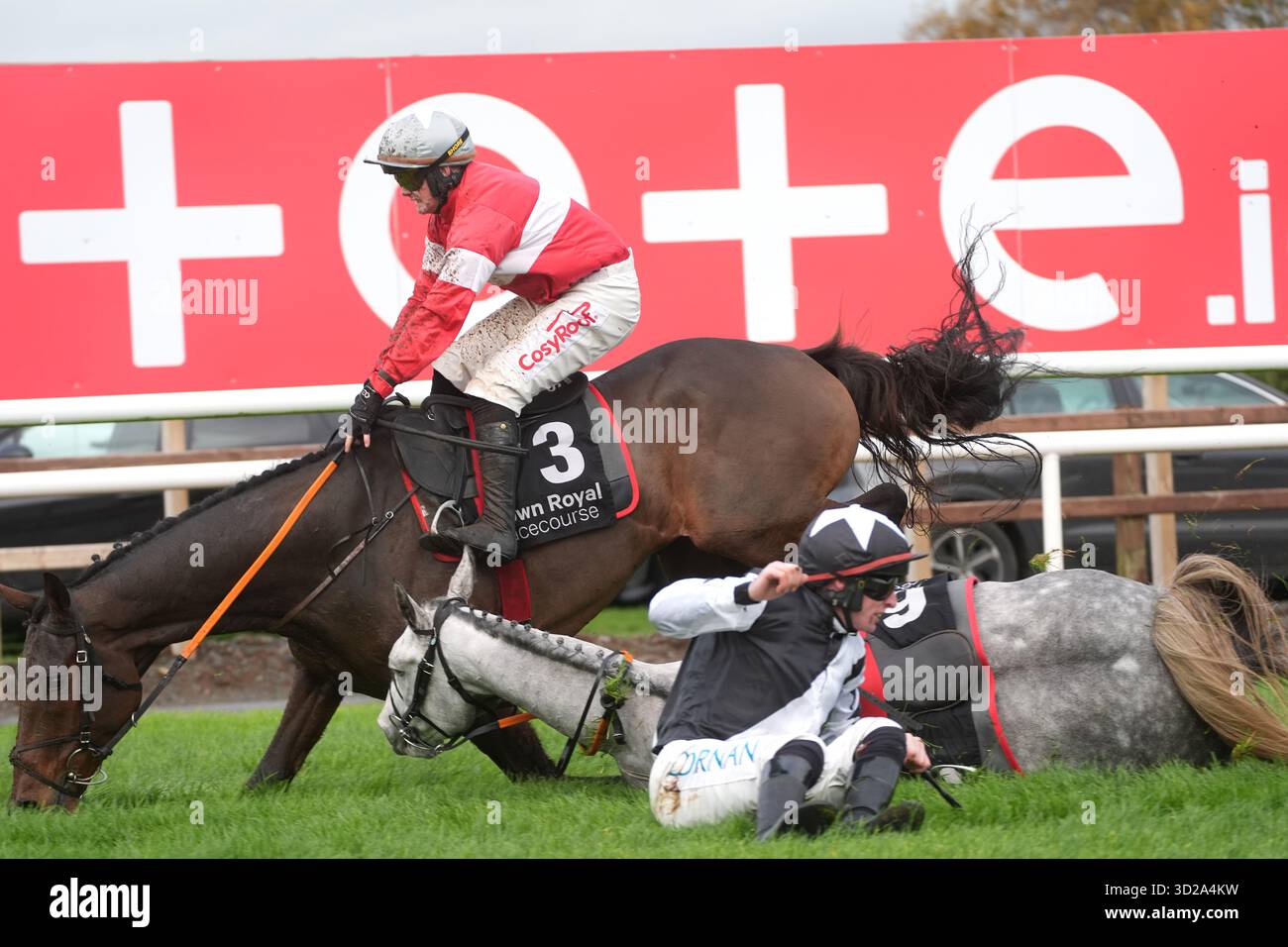 Artic Cheif ridden by Caragh Monaghan (left) collide into Theflyingking ...