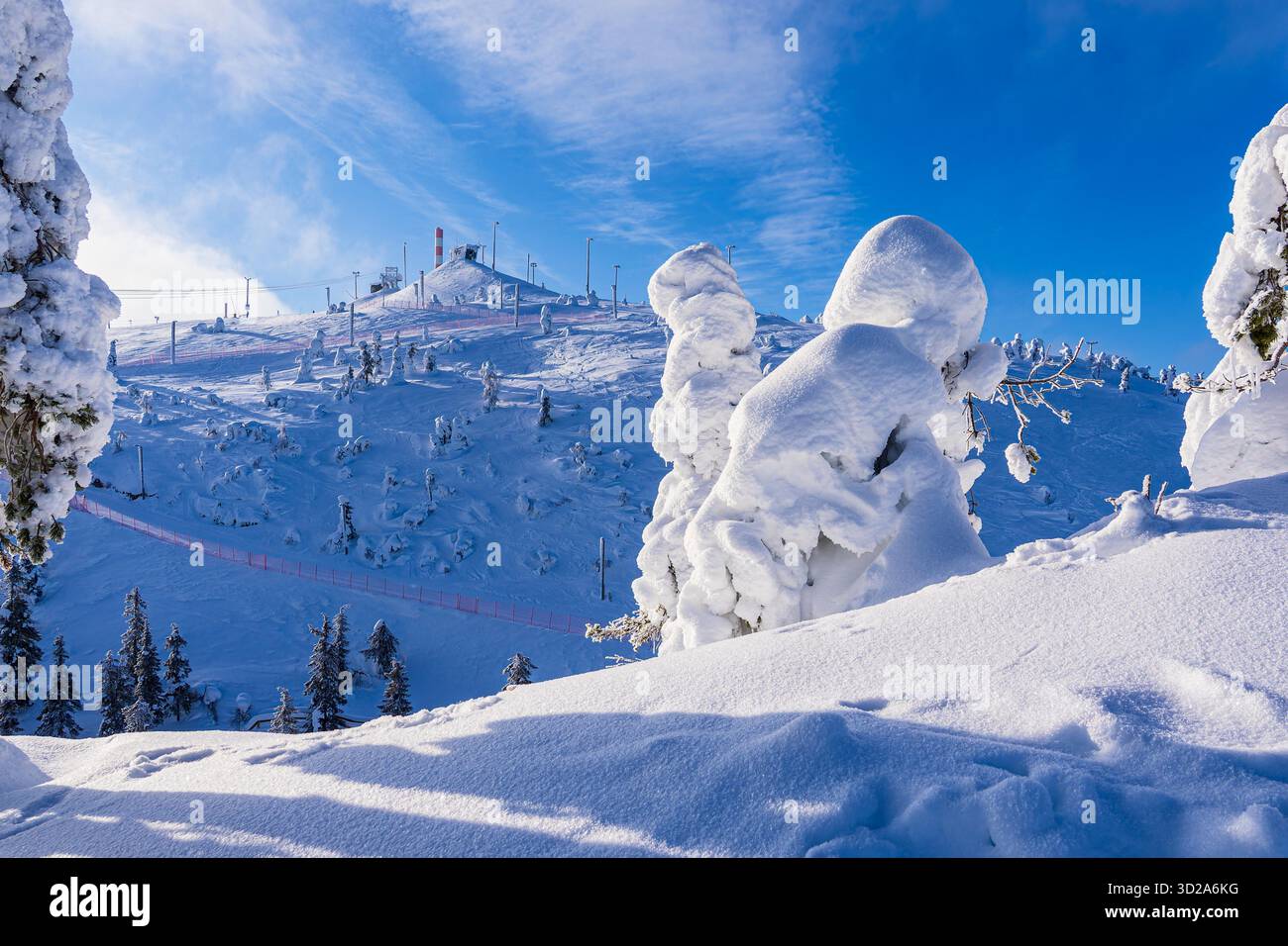 Landschaft mit Schnee und Bäumen im Winter in Ruka, Finnland Stock ...