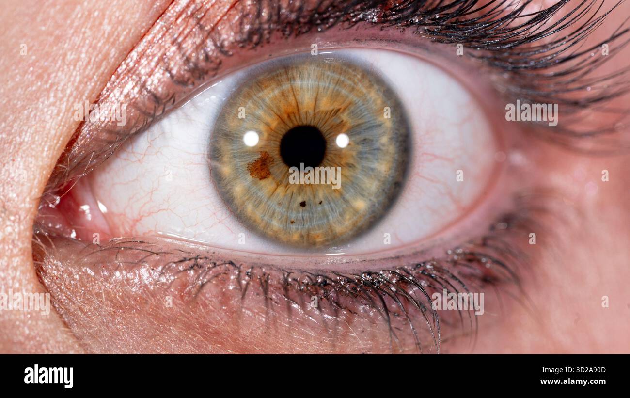 Detailed blue retina hi-res stock photography and images - Alamy