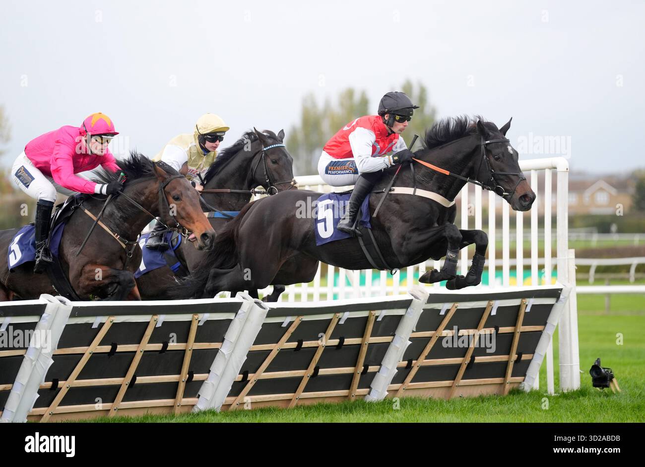 Minella Study and jockey Ryan Mania (right) on the way to winning the ...