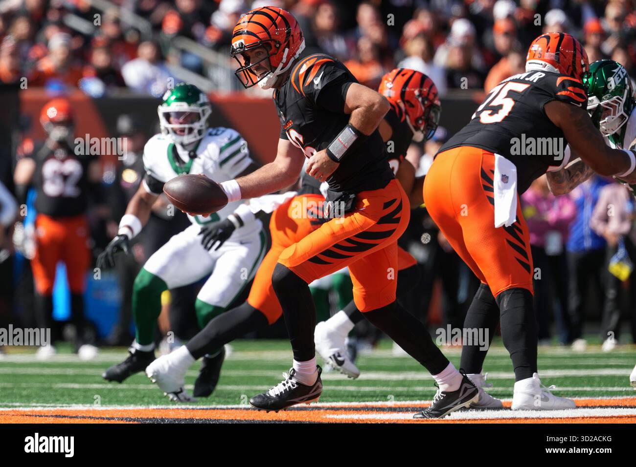 Cincinnati Bengals quarterback Joe Flacco (16) fakes a handoff during ...