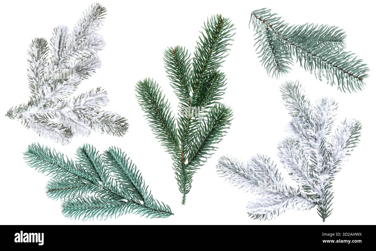Christmas tree branches isolated on white, set Stock Photo - Alamy