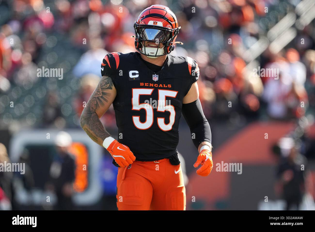 Cincinnati Bengals linebacker Logan Wilson (55) warms u before an NFL ...