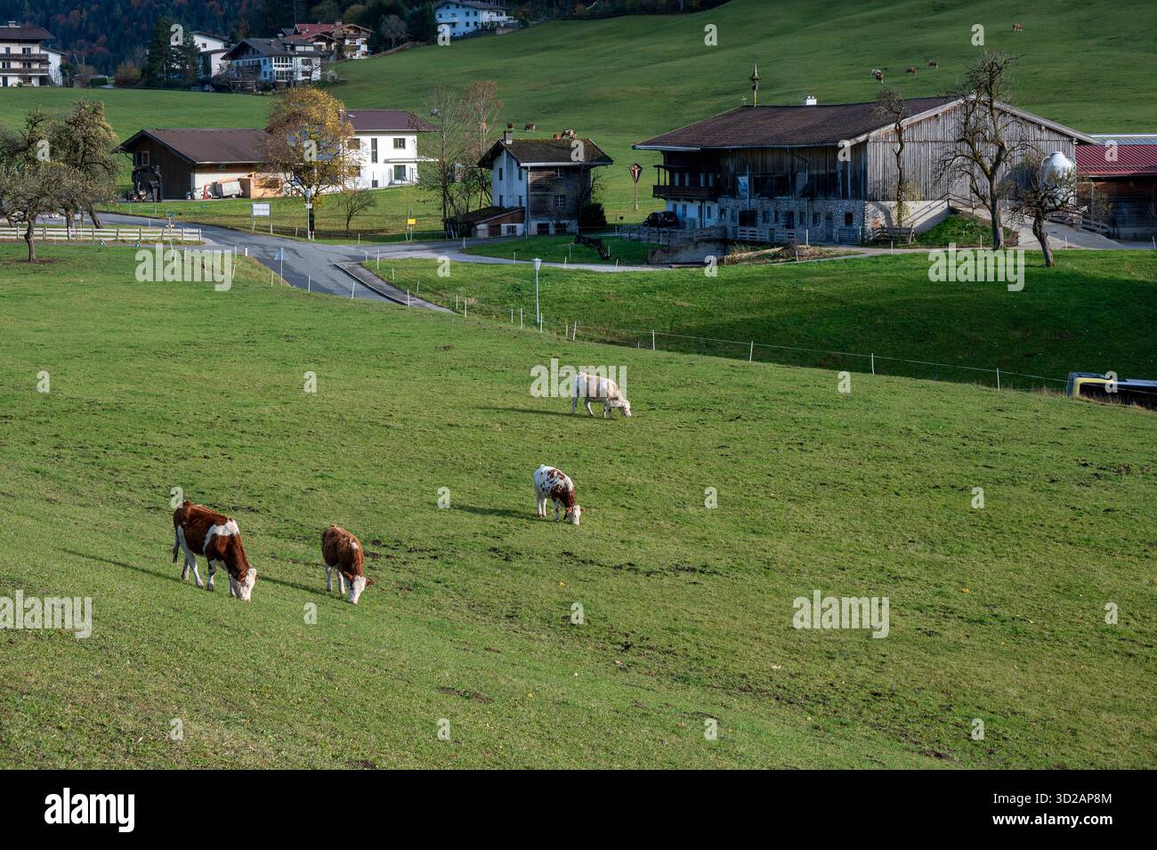 Austria, Tirol, Erbbauernhof in Grub bei Hinterthiersee im Herbst ...