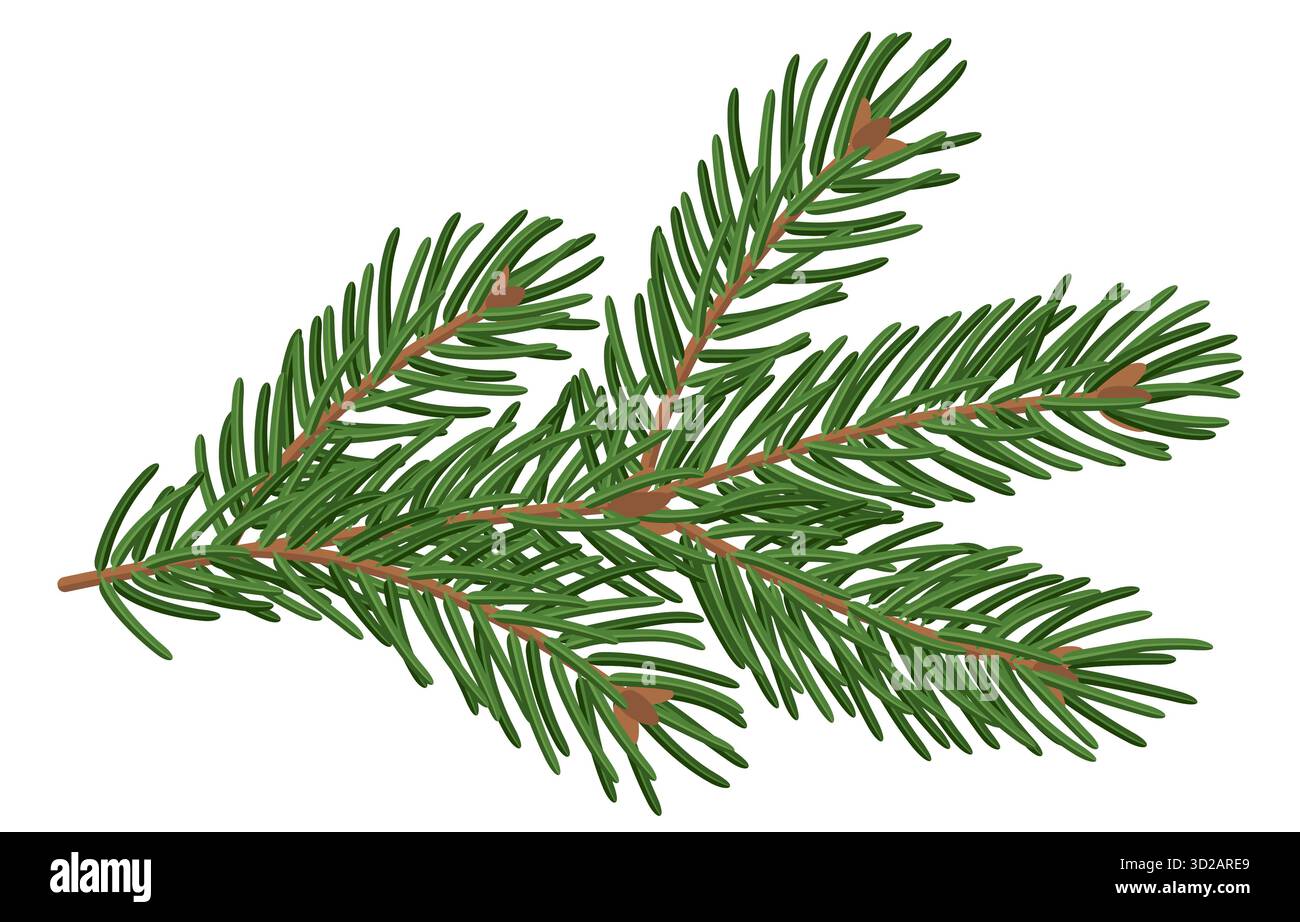 Green fir tree needles Stock Vector Images - Alamy