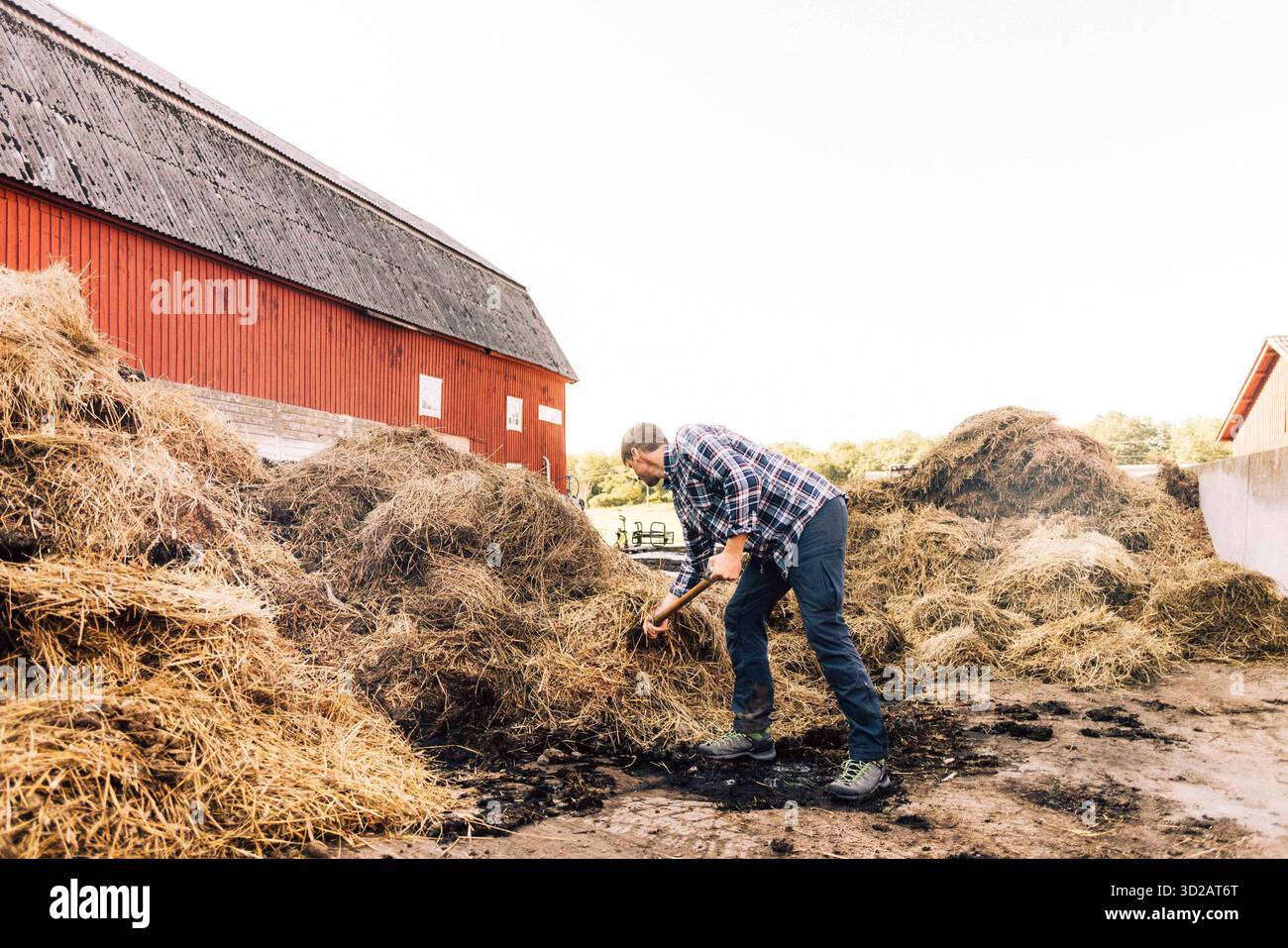 Pile of hay hi-res stock photography and images - Alamy
