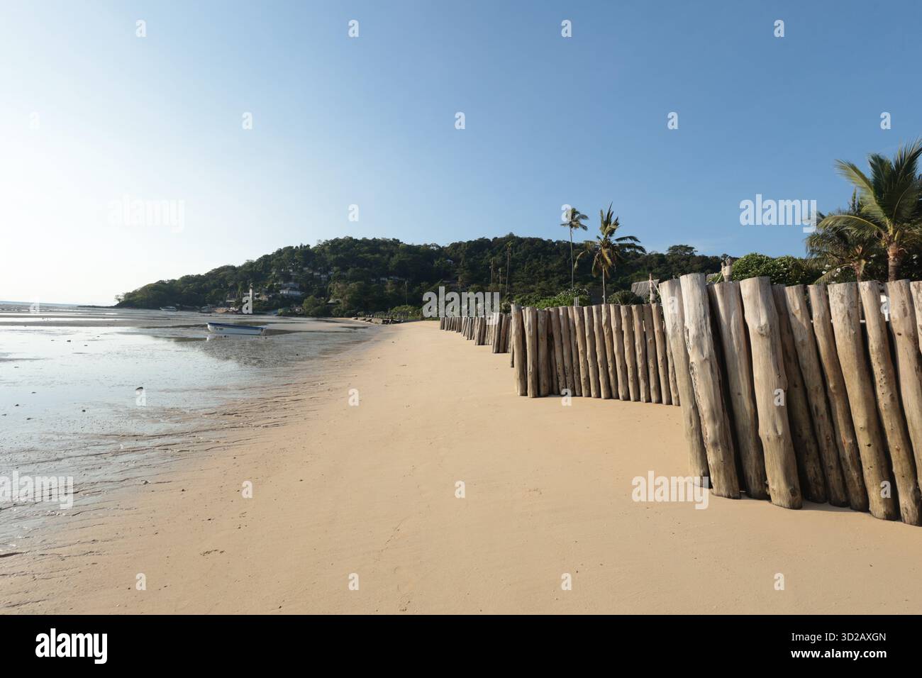 Wooden protective barrier made of fallen palm trunks standing on the ...