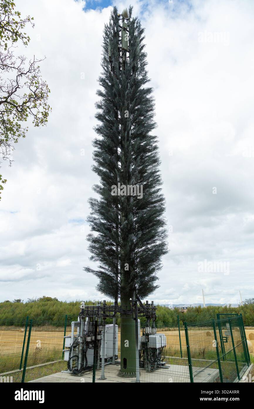 Gigantic toilet brush hi-res stock photography and images - Alamy