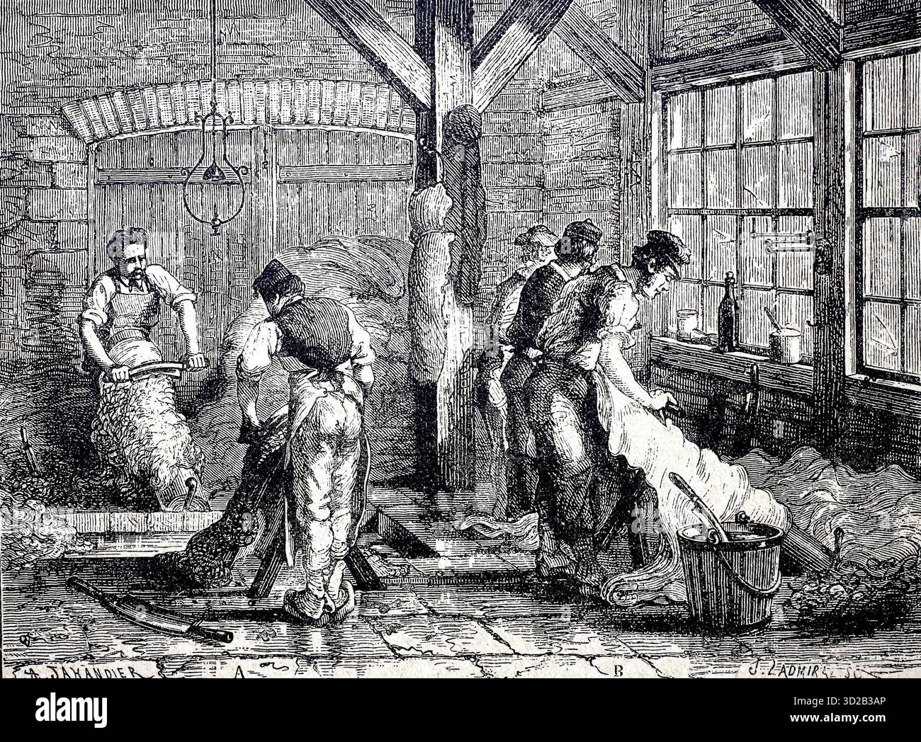 Leather processing, the removal of hair and meat from animal hides ...