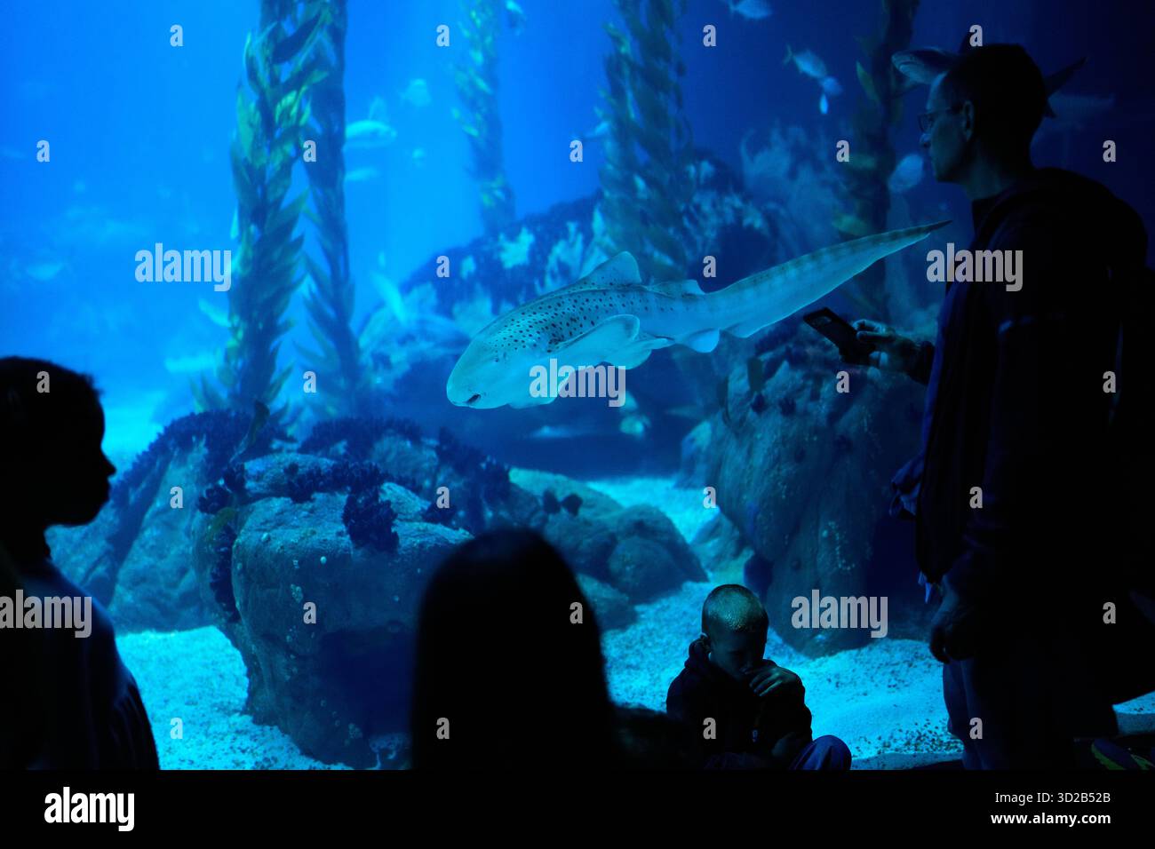 Visitors look through a window of the main tank of the oceanarium, in ...