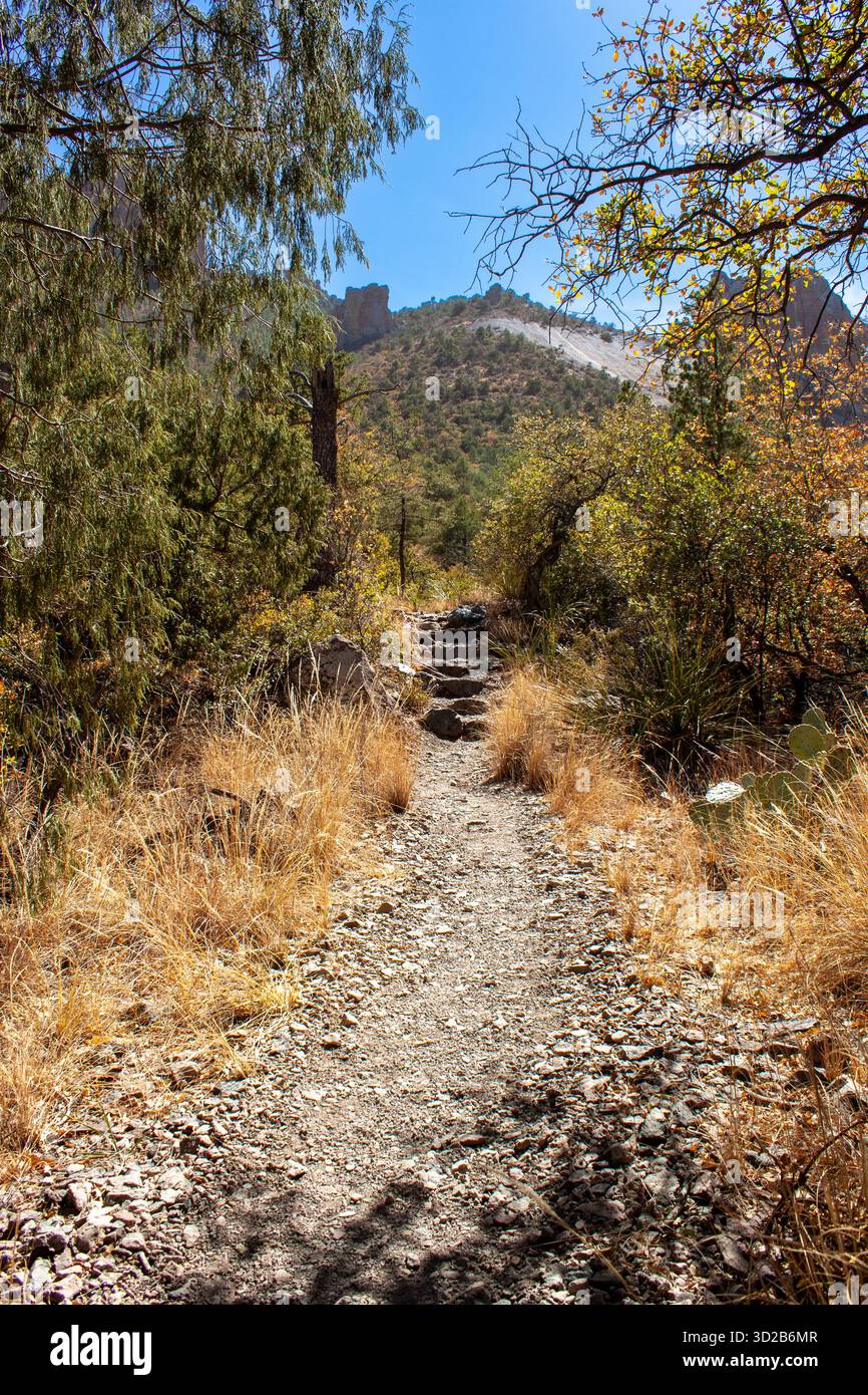 Stone stairs along Pine Canyon Trail in Big Bend National Park, Texas ...