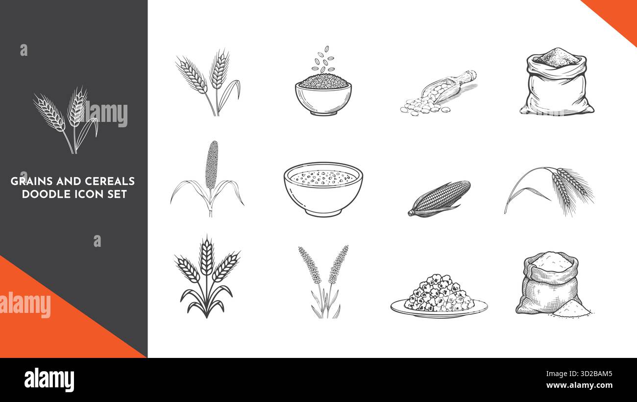 Grains and cereals doodle icon set. Agriculture, harvest, food products ...