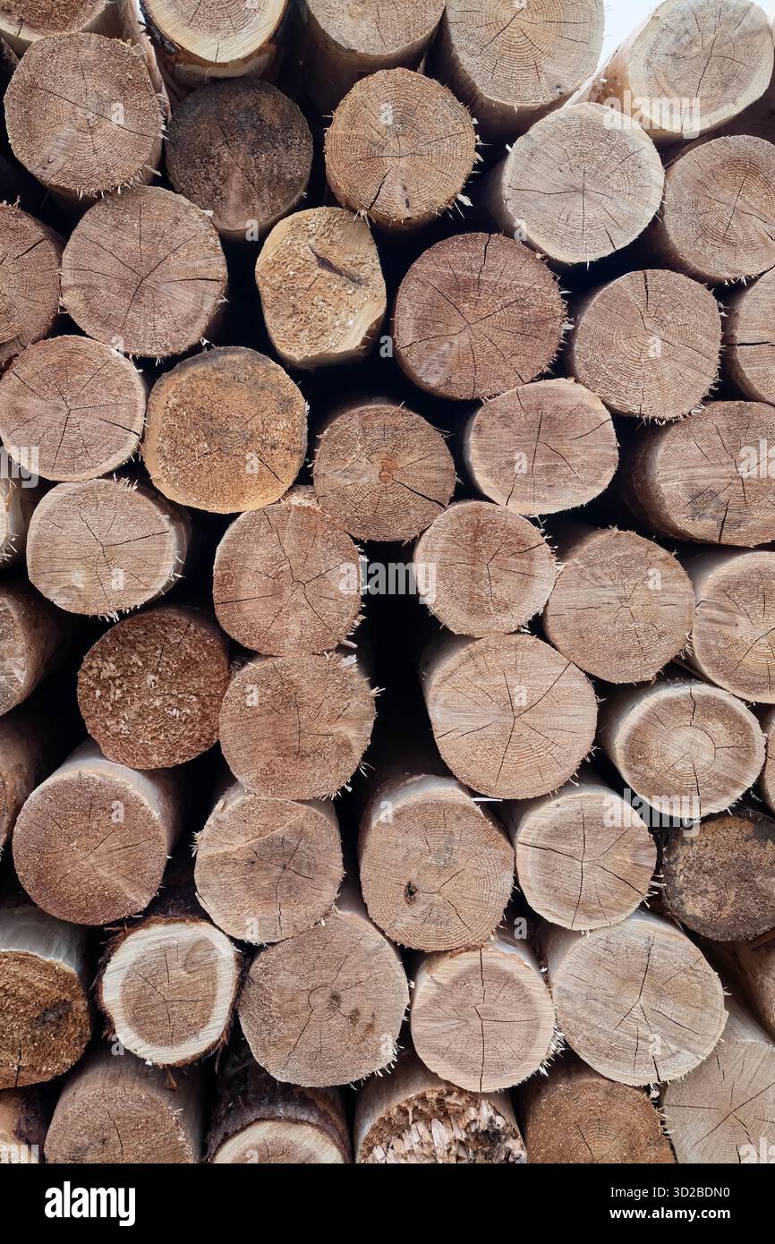 Pile cut cedar tree hi-res stock photography and images - Alamy