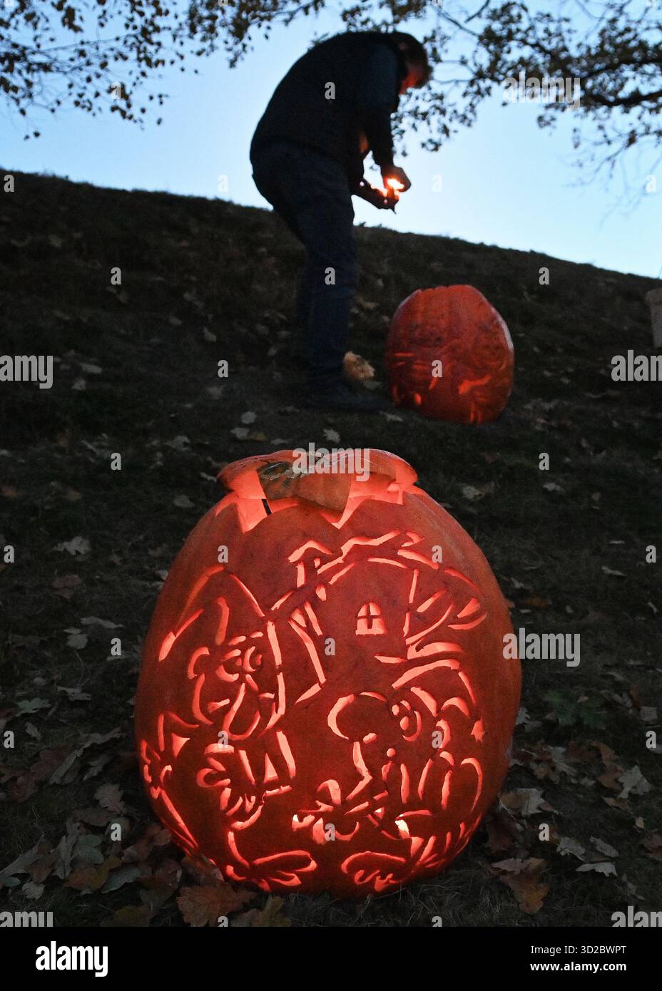 Pumpkin Lighting, traditional lighting of dozens of carved pumpkins on ...