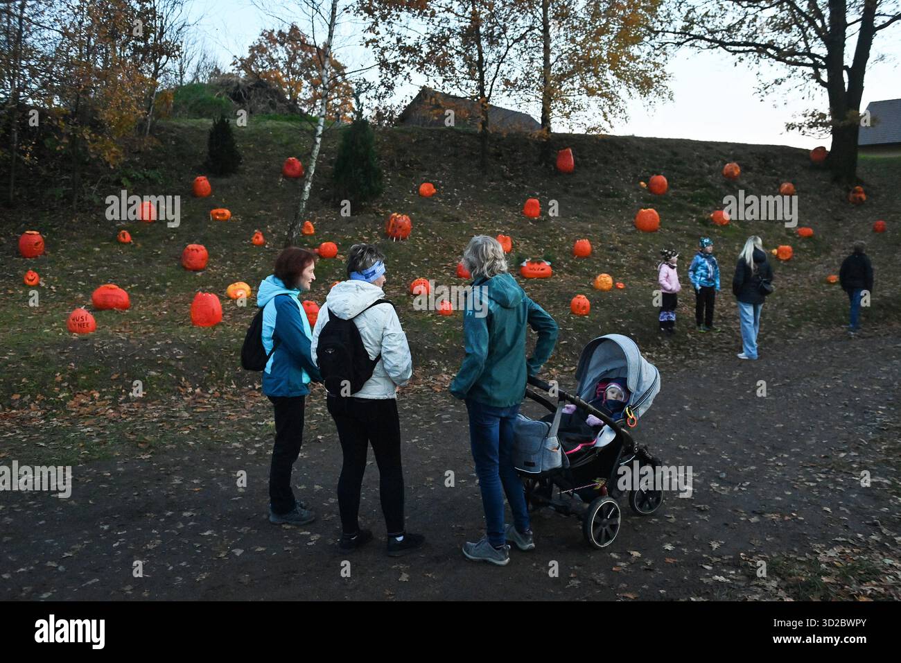 Pumpkin Lighting, traditional lighting of dozens of carved pumpkins on ...