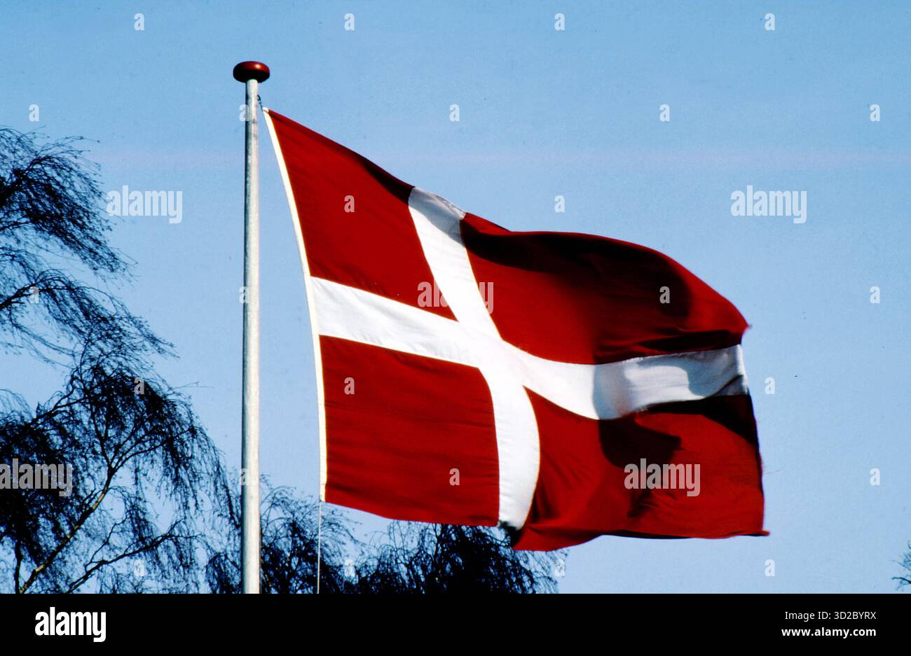 RECORD DATE NOT STATED Copenhagen/ Denmark/ eu flag and Nordic flags ...