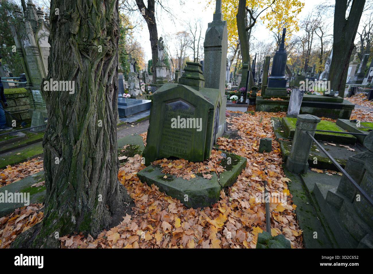 A damaged gravestone is seen at the Powazki cemetery in Warsaw, Poland ...