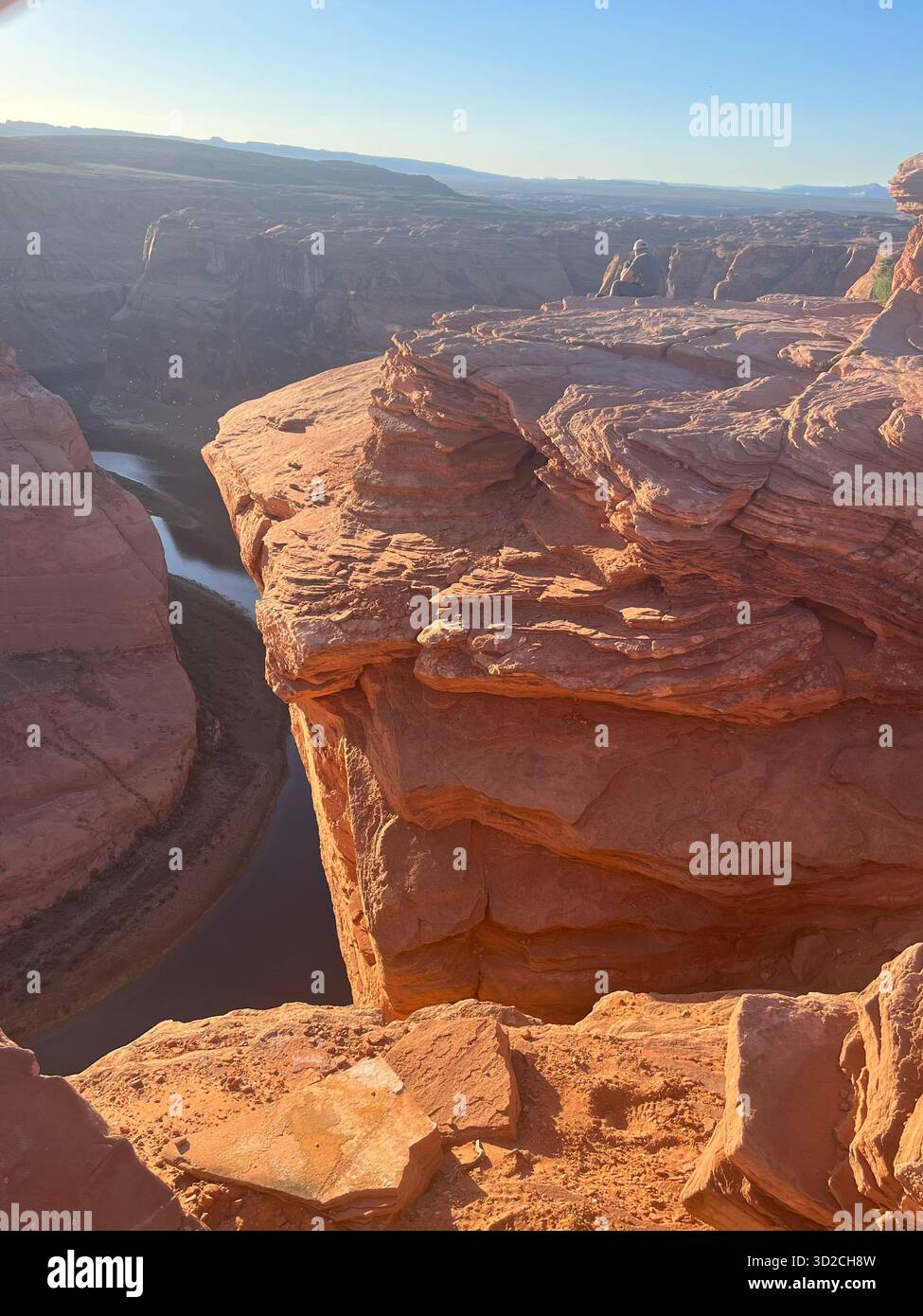 Grand Canyon: desert landscape, flowering plants, sandstone cliffs and ...