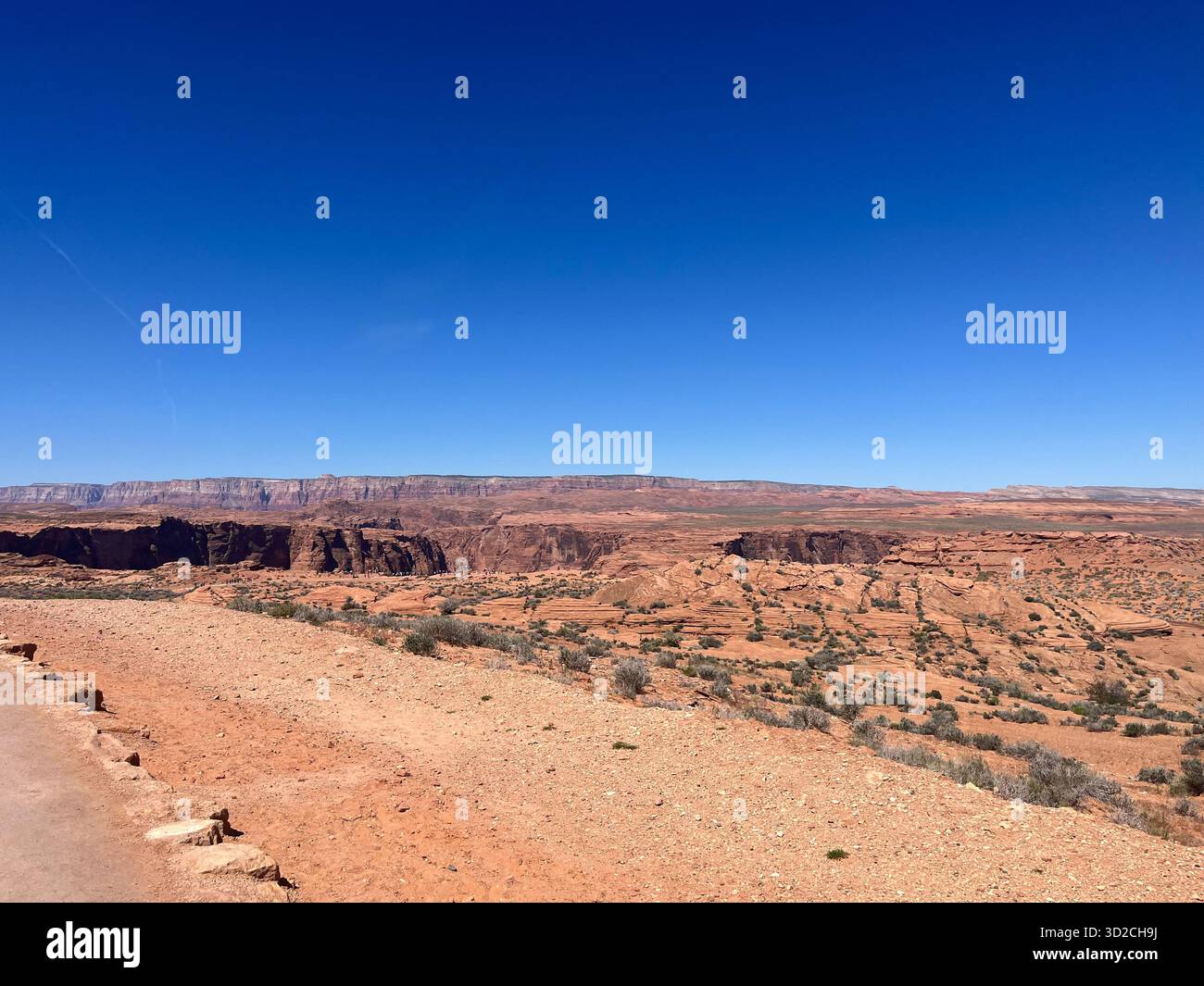 Grand Canyon: desert landscape, flowering plants, sandstone cliffs and ...