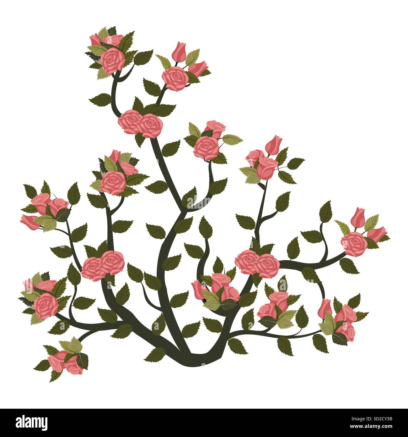Tall rose bush blooming Stock Vector Images - Alamy